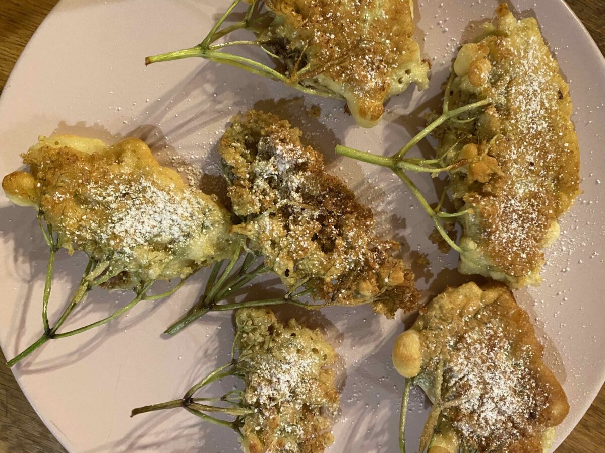 Recettes de beignets de fleurs de sureau et acacia